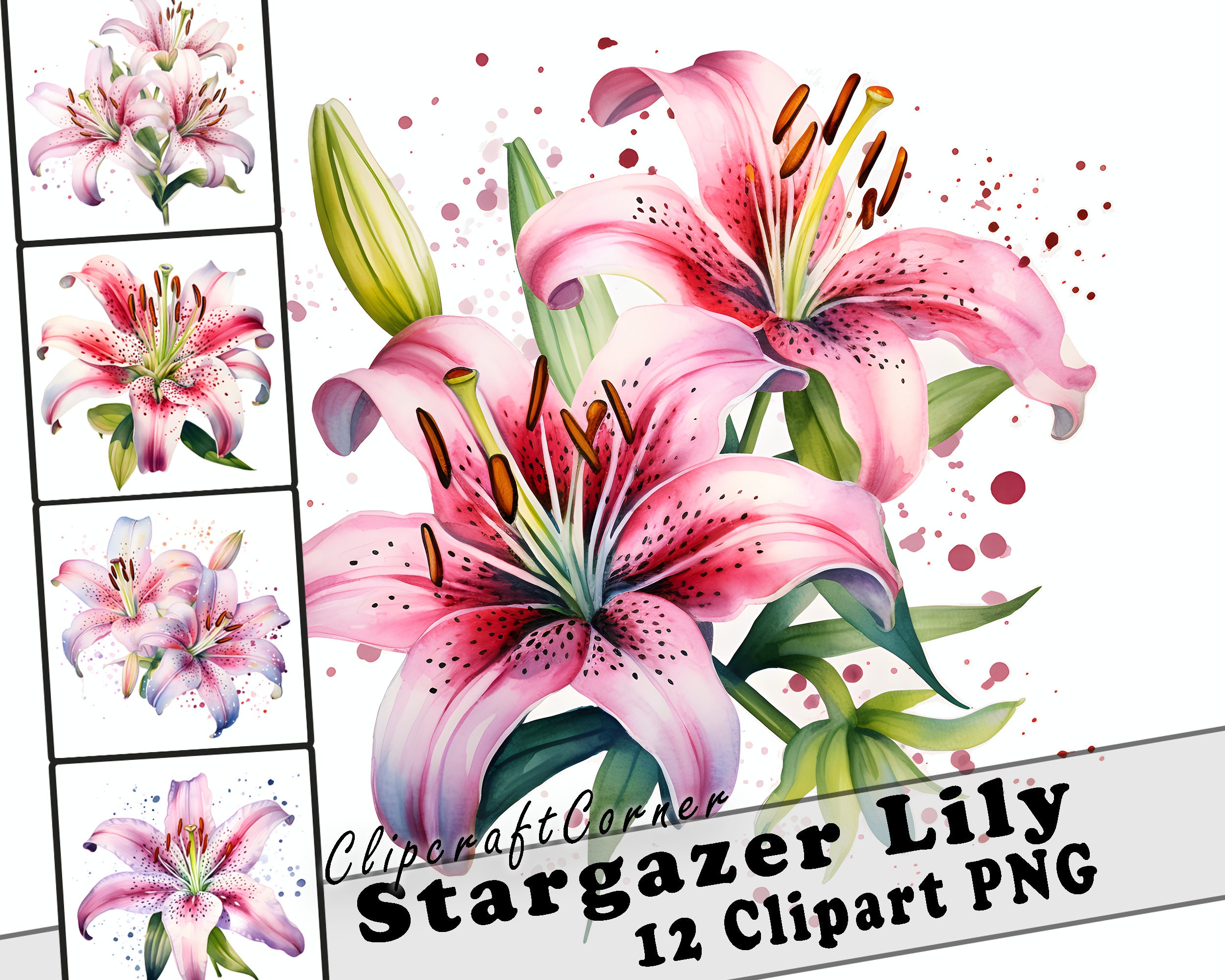 12 Stargazer Lily Clipart PNG Art Bundle | Watercolor Flower Clipart ...