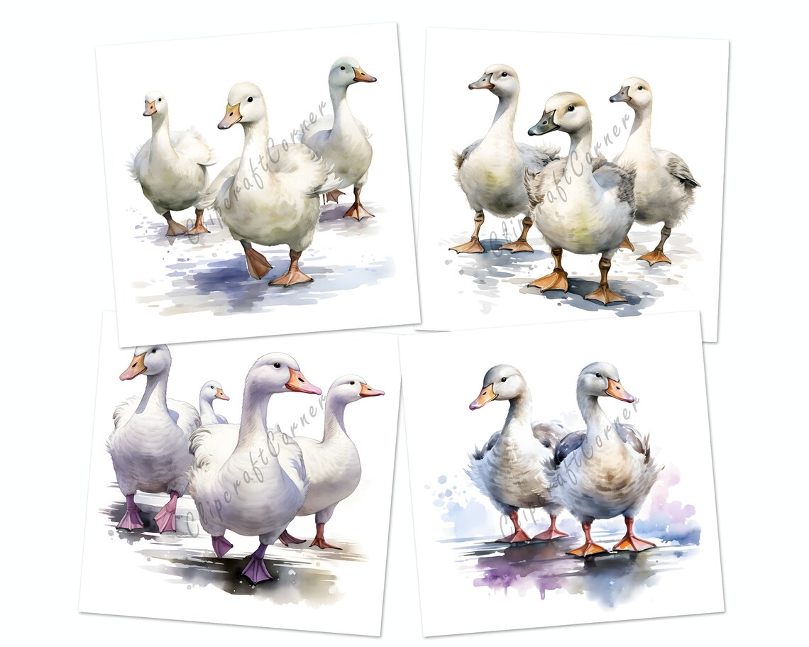 12 Goose Clipart PNG Bundle | Watercolor Goose Clipart PNG | Farm ...