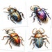 12 Steampunk Beetle Clipart PNG Animal Bundle | Watercolor Steampunk ...