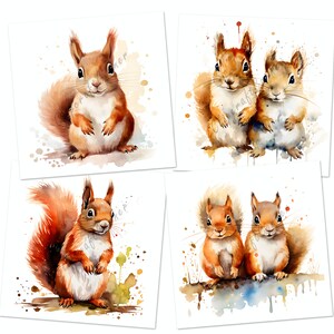12 Happy Squirrel Clipart PNG Forest Animal Bundle | Watercolor ...