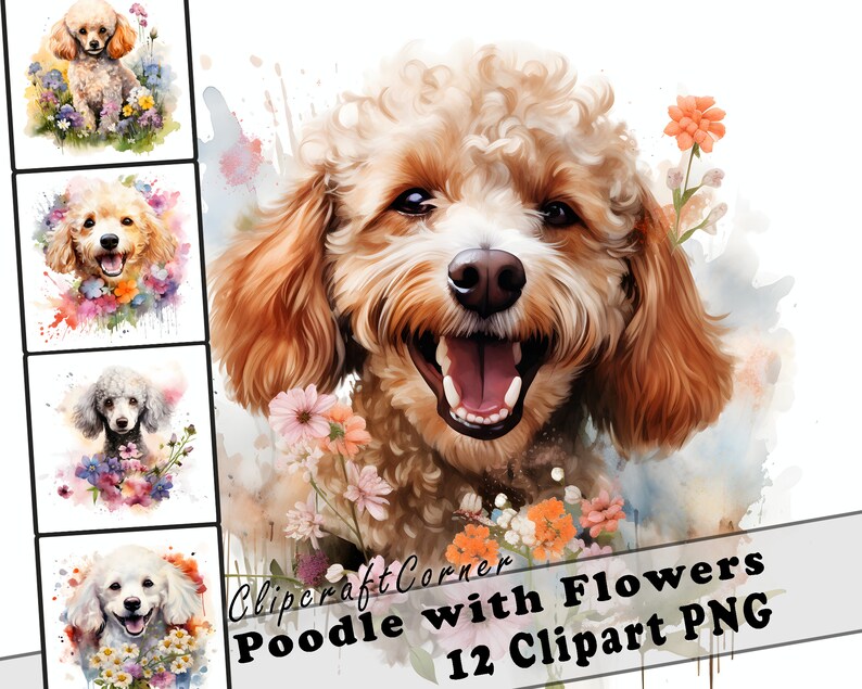 12 Poodle and Flowers Clipart PNG Bundle | Watercolor Dog Clipart PNG ...