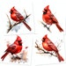 12 Red Cardinal Clipart PNG Art Bundle | Watercolor Bird Clipart PNG ...