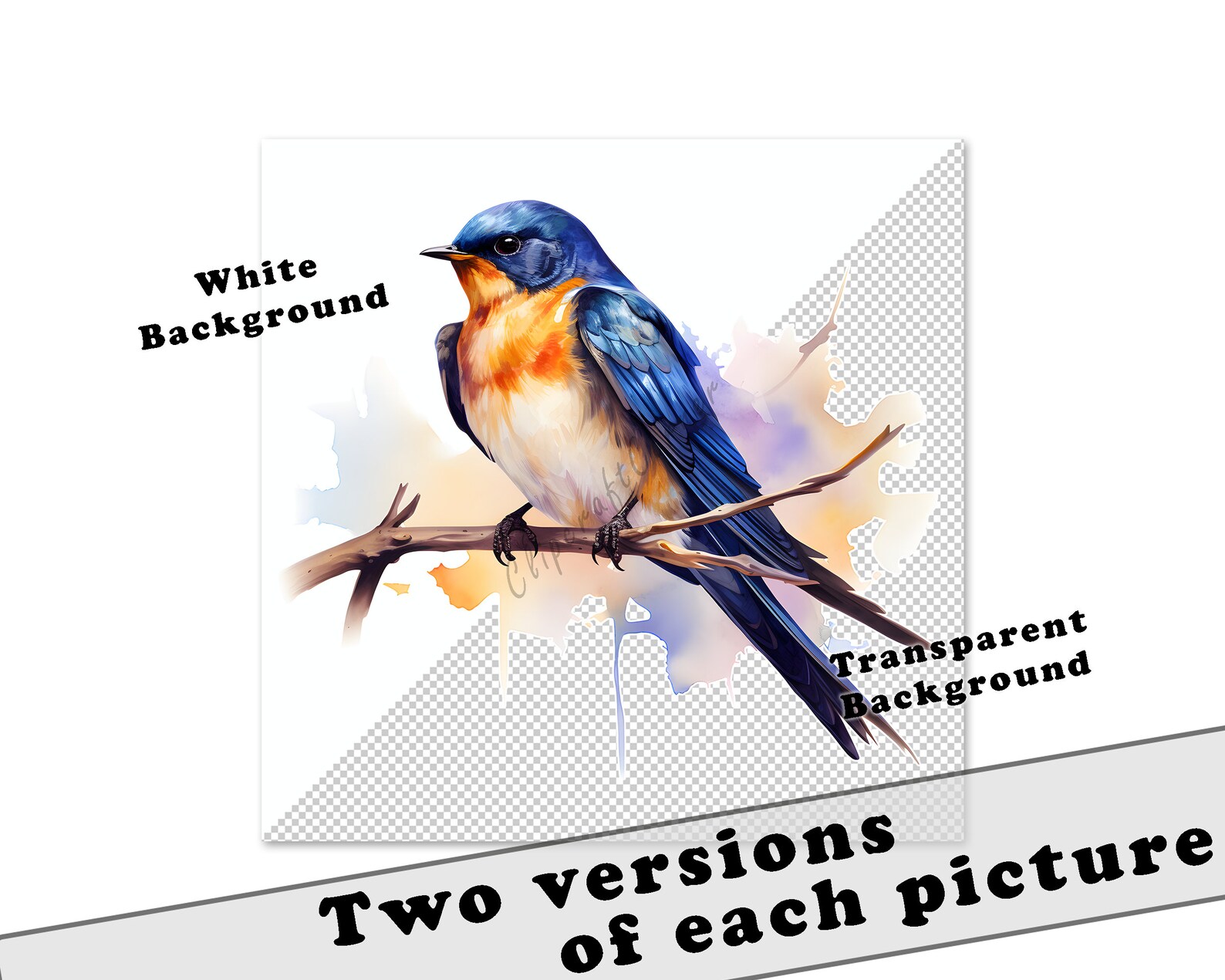 12 Barn Swallow Clipart PNG Art Bundle Watercolor Bird Clipart PNG ...