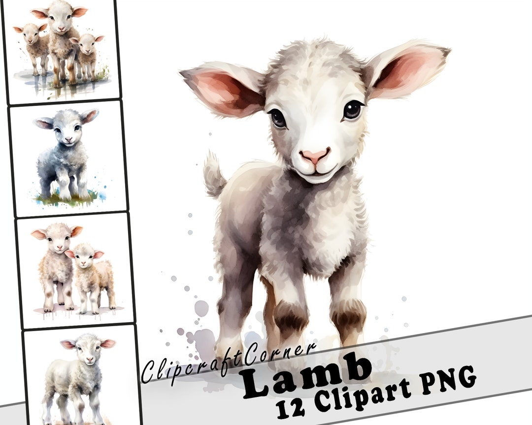 12 Lamb Clipart PNG Bundle | Watercolor Sheep Clipart PNG | Farm Animal ...