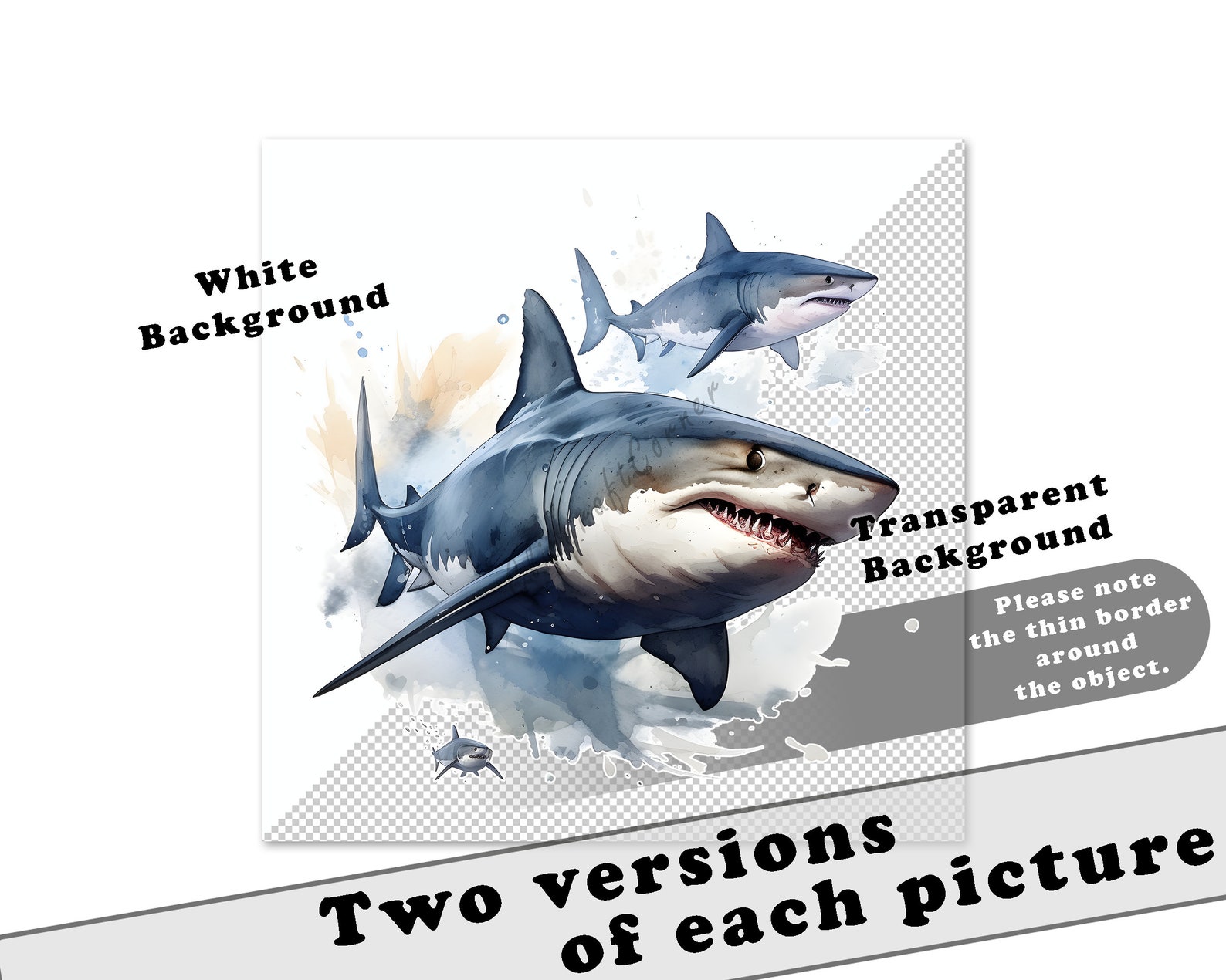 12 Shark Clipart PNG Bundle | Watercolor Sea Animals Clipart PNG ...
