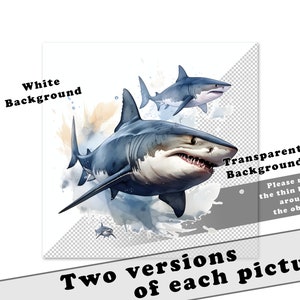 12 Shark Clipart PNG Bundle | Watercolor Sea Animals Clipart PNG ...