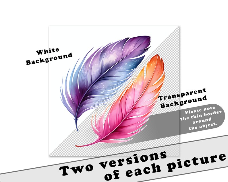 12 Tropical Bird Feather Clipart PNG Bundle Tropical Watercolor Clipart PNG Summer Clipart PNG ...