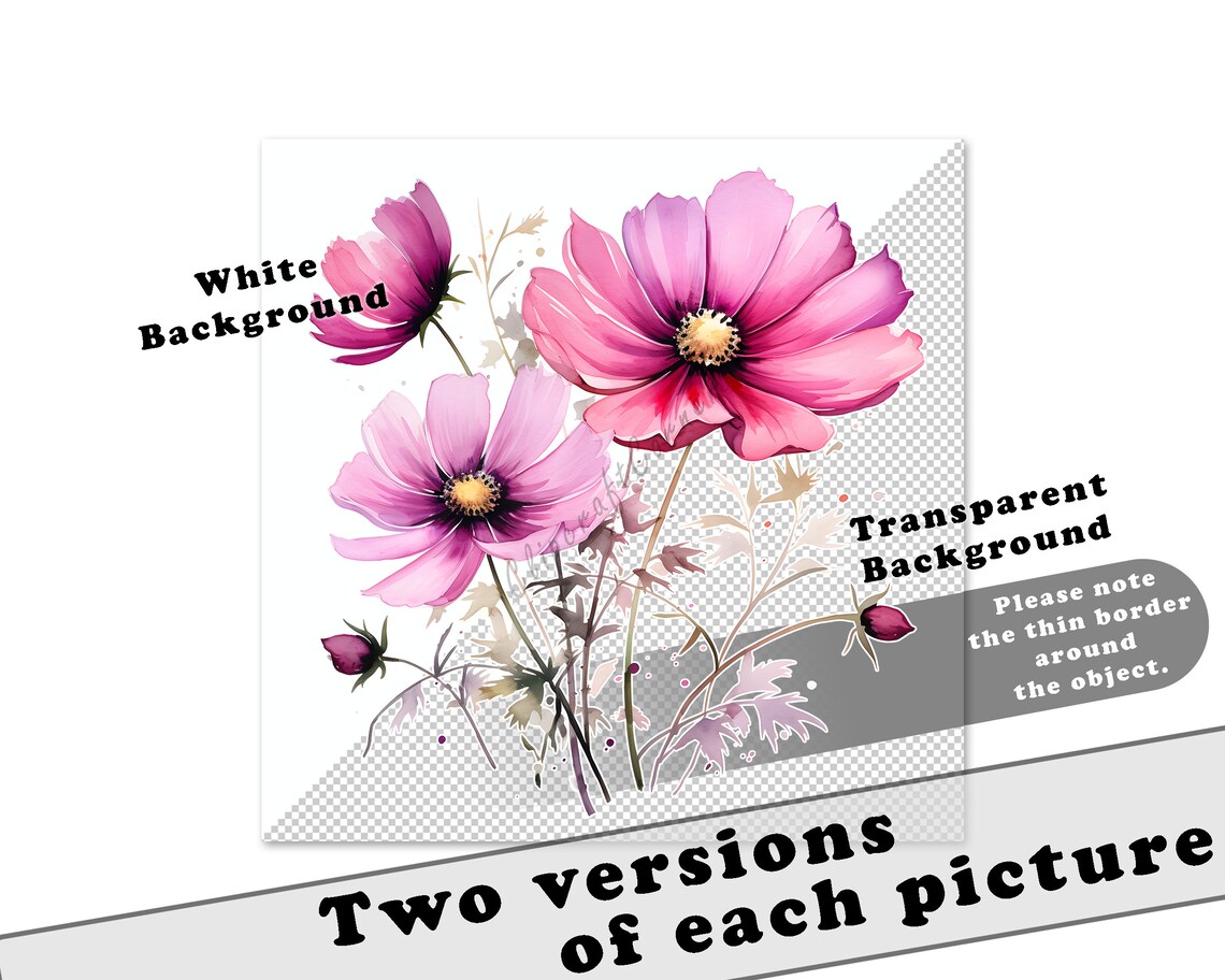 12 Cosmos Clipart PNG Art Bundle | Watercolor Flower Clipart PNG ...