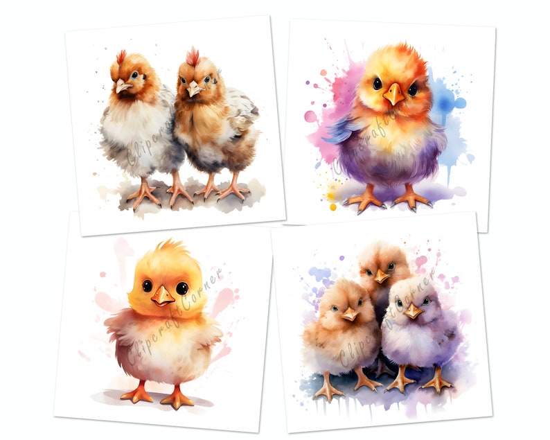 12 Chicks Clipart PNG Bundle | Watercolor Chicken Clipart PNG | Farm ...