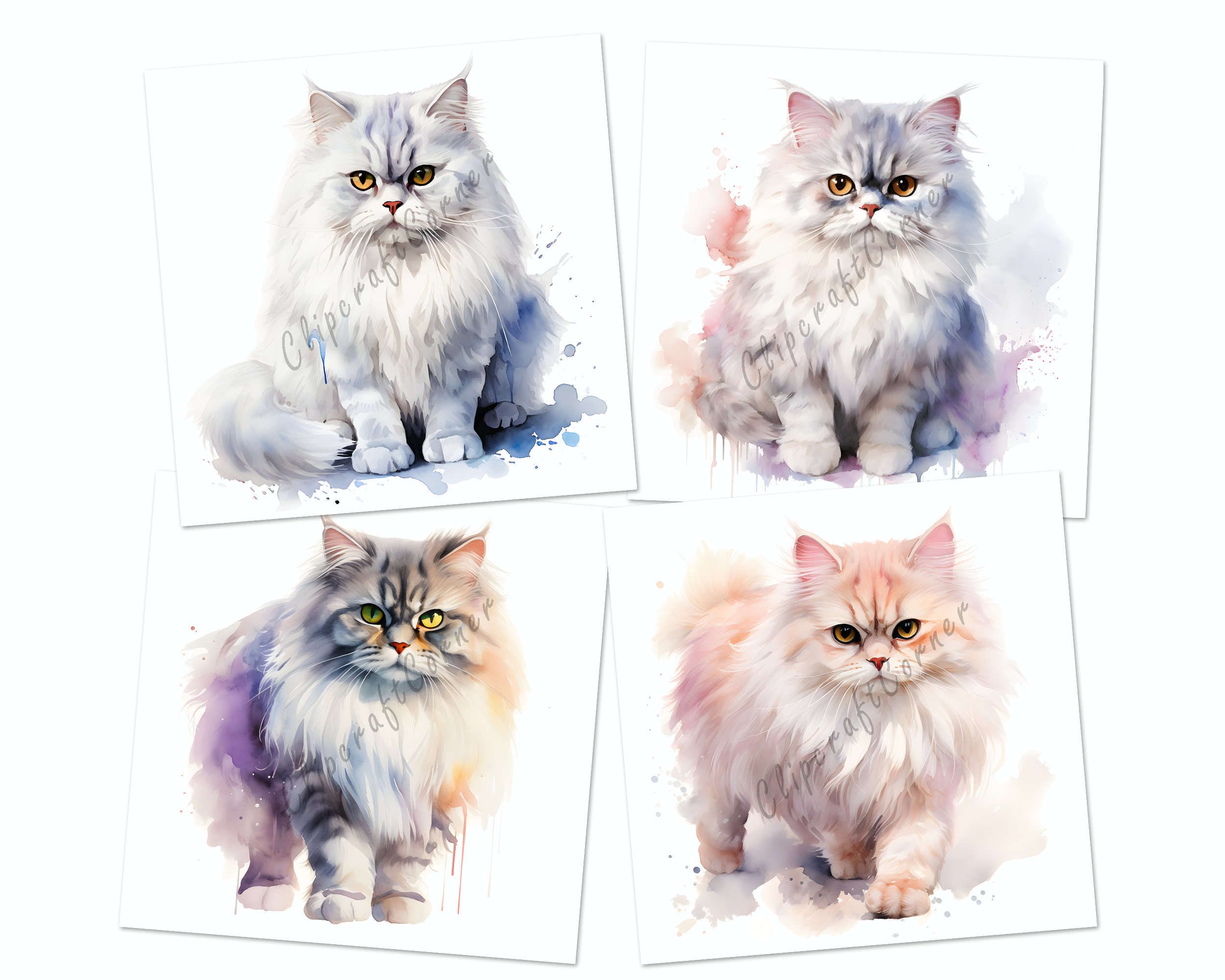 12 Persian Cat Clipart PNG Bundle | Cute Watercolor Cat Clipart PNG ...