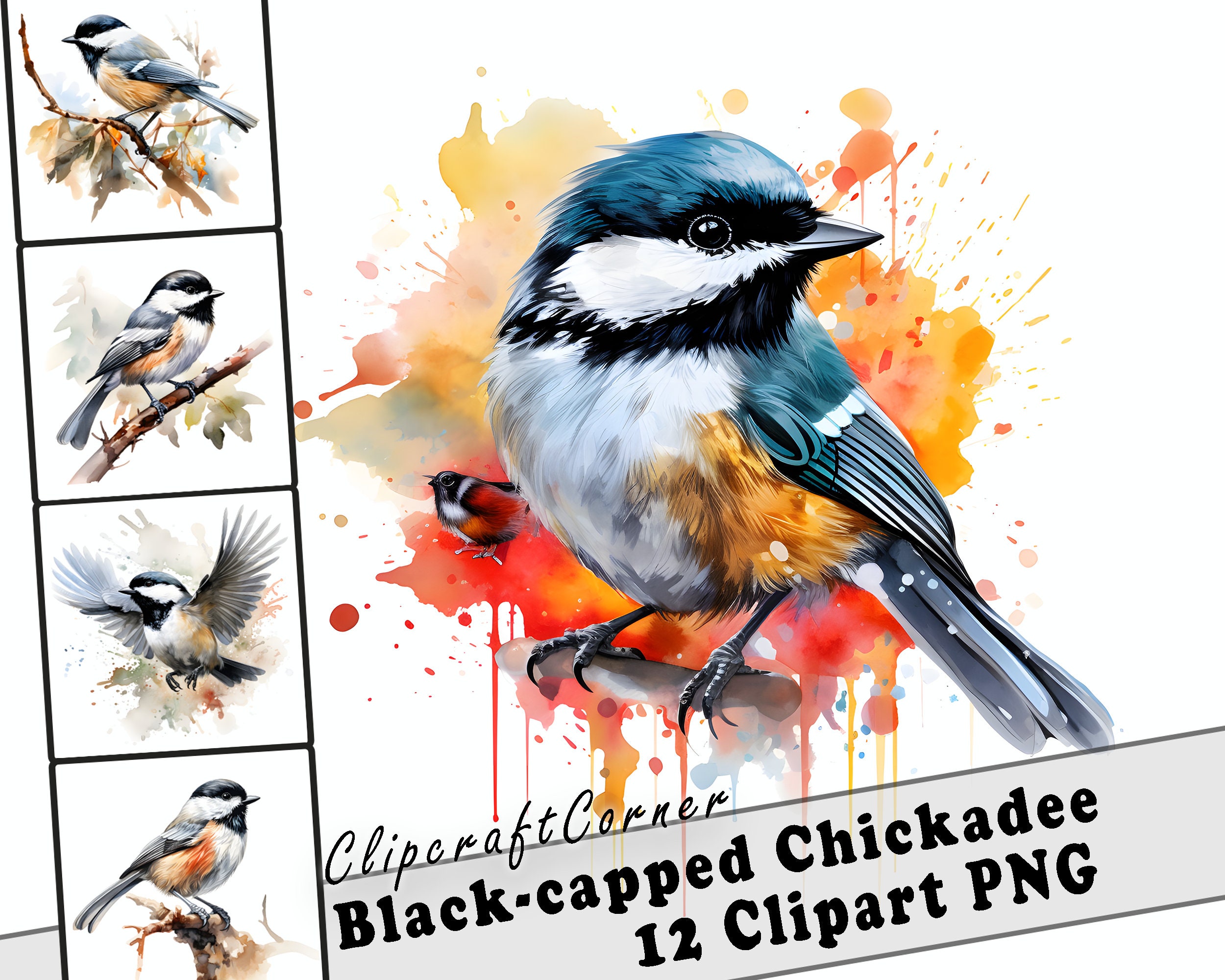 12 Black Capped Chickadee Clipart PNG Art Bundle | Watercolor Bird ...