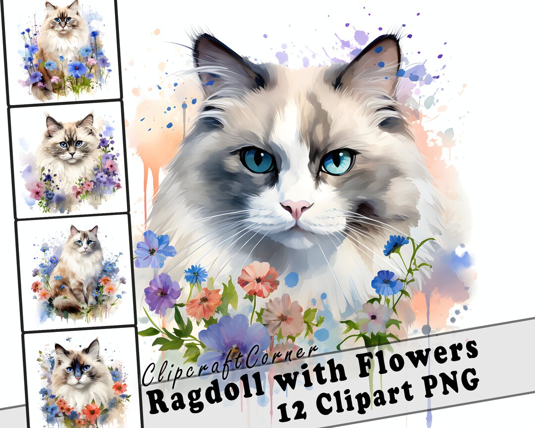 12 Ragdoll Cat With Flowers Clipart PNG Bundle | Cute Watercolor ...