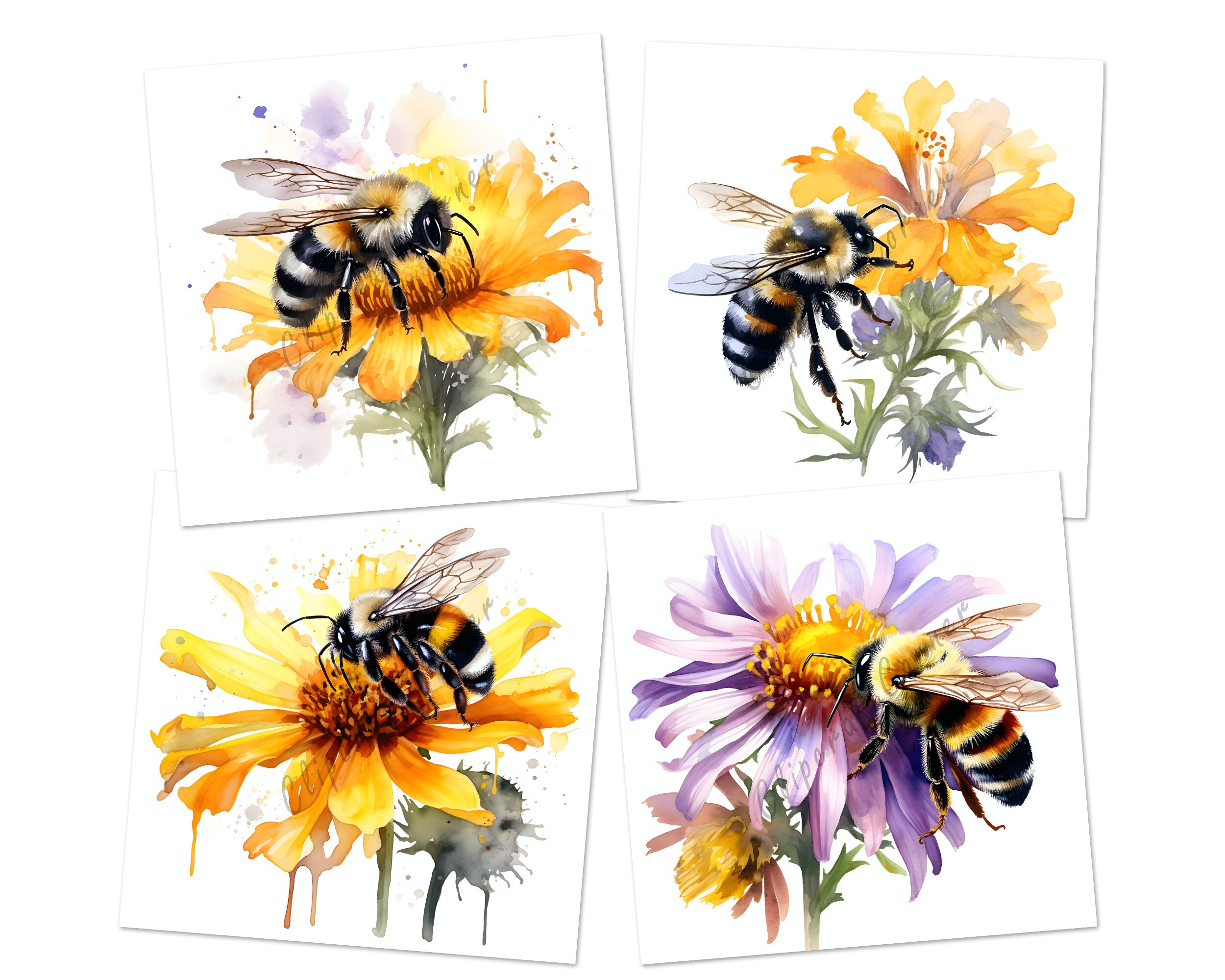 12 Bumblebee in Flower Clipart PNG Forest Animal Bundle Watercolor ...