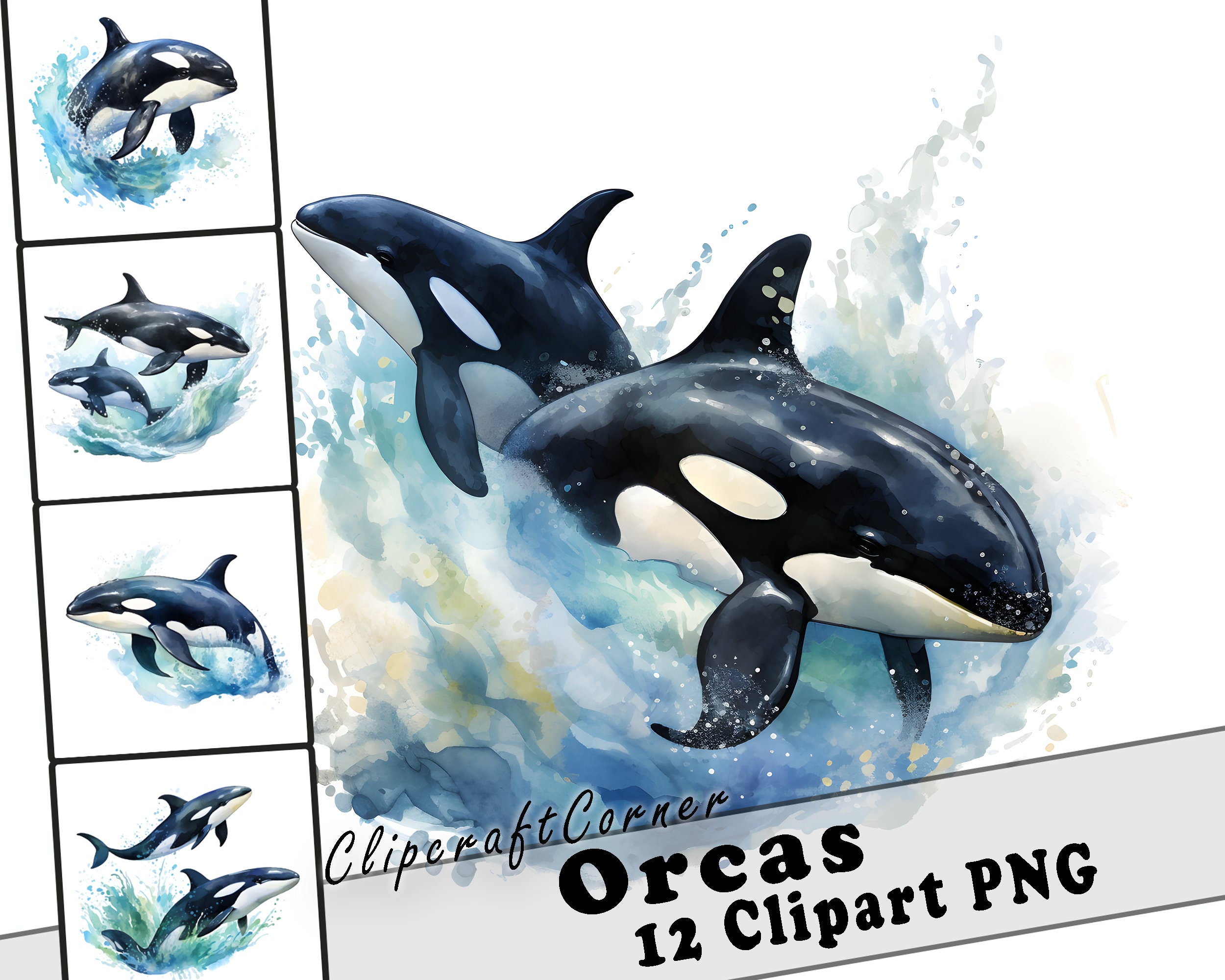 12 Orca Clipart PNG Bundle | Watercolor Sea Animals Clipart PNG | Ocean ...
