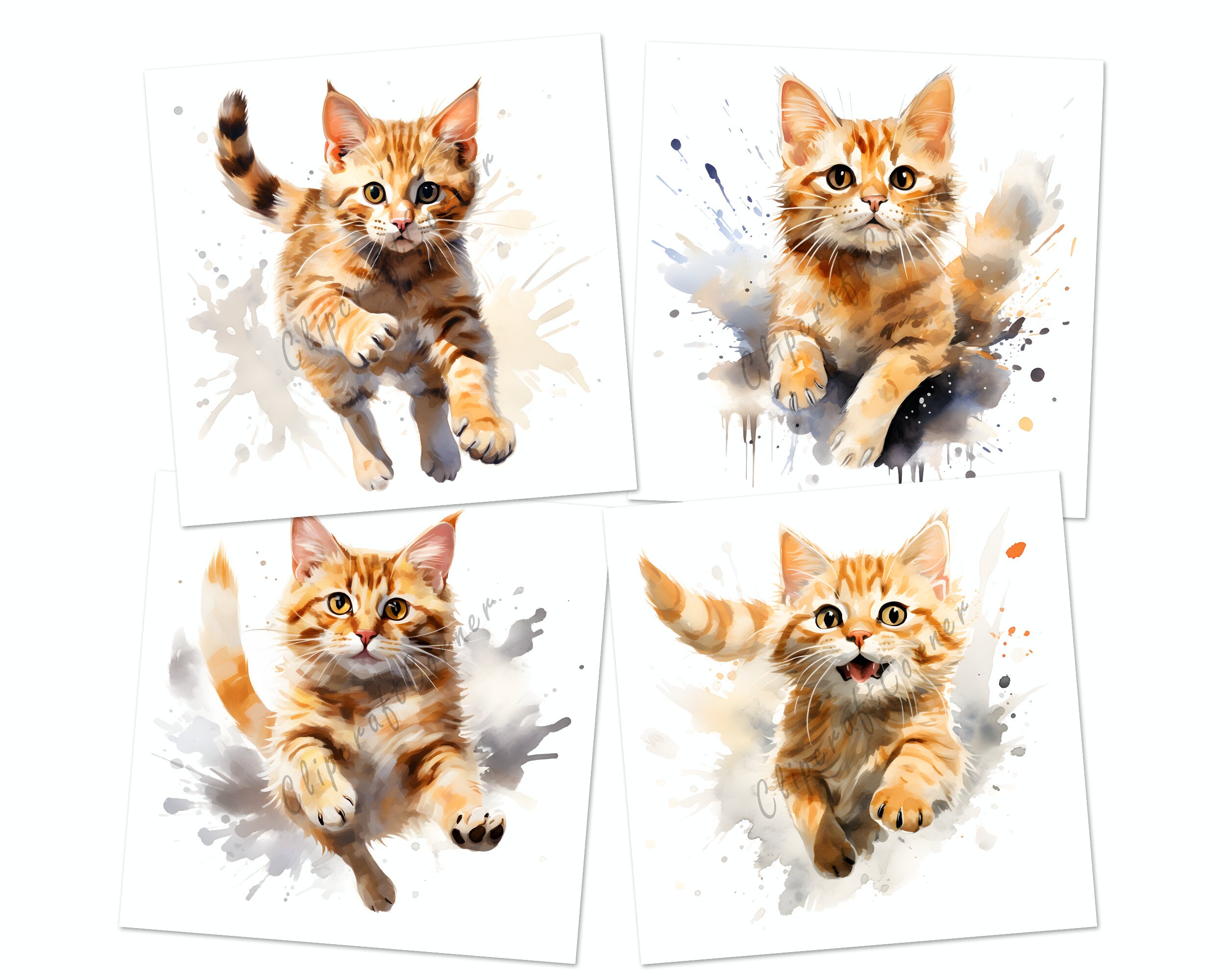 12 Cheetoh Cat Clipart PNG Bundle Cute Watercolor Cat Clipart PNG 542 ...