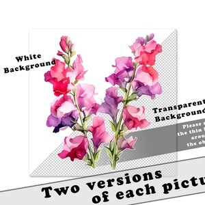 12 Snapdragon Clipart PNG Art Bundle | Watercolor Flower Clipart PNG ...