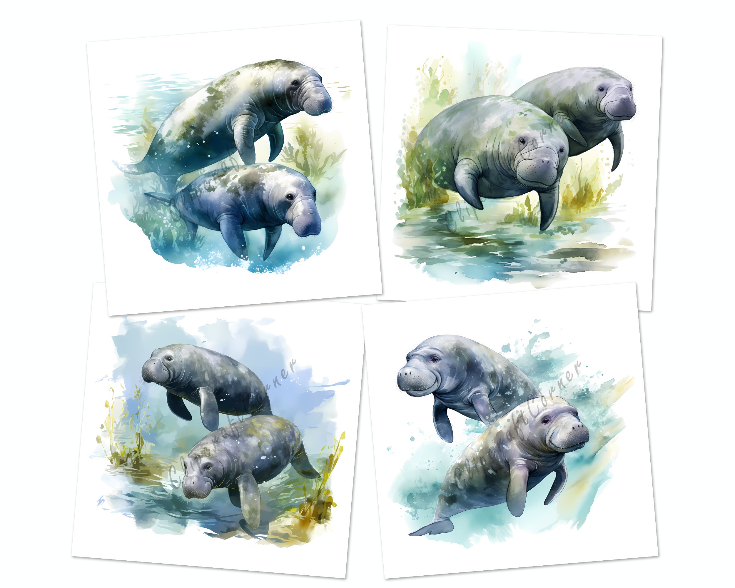12 Manatee Clipart PNG Bundle | Watercolor Sea Animals Clipart PNG ...