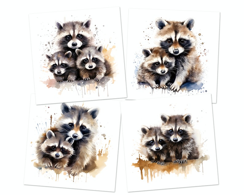 12 Raccoon Clipart PNG Forest Animal Bundle | Watercolor Raccoon ...