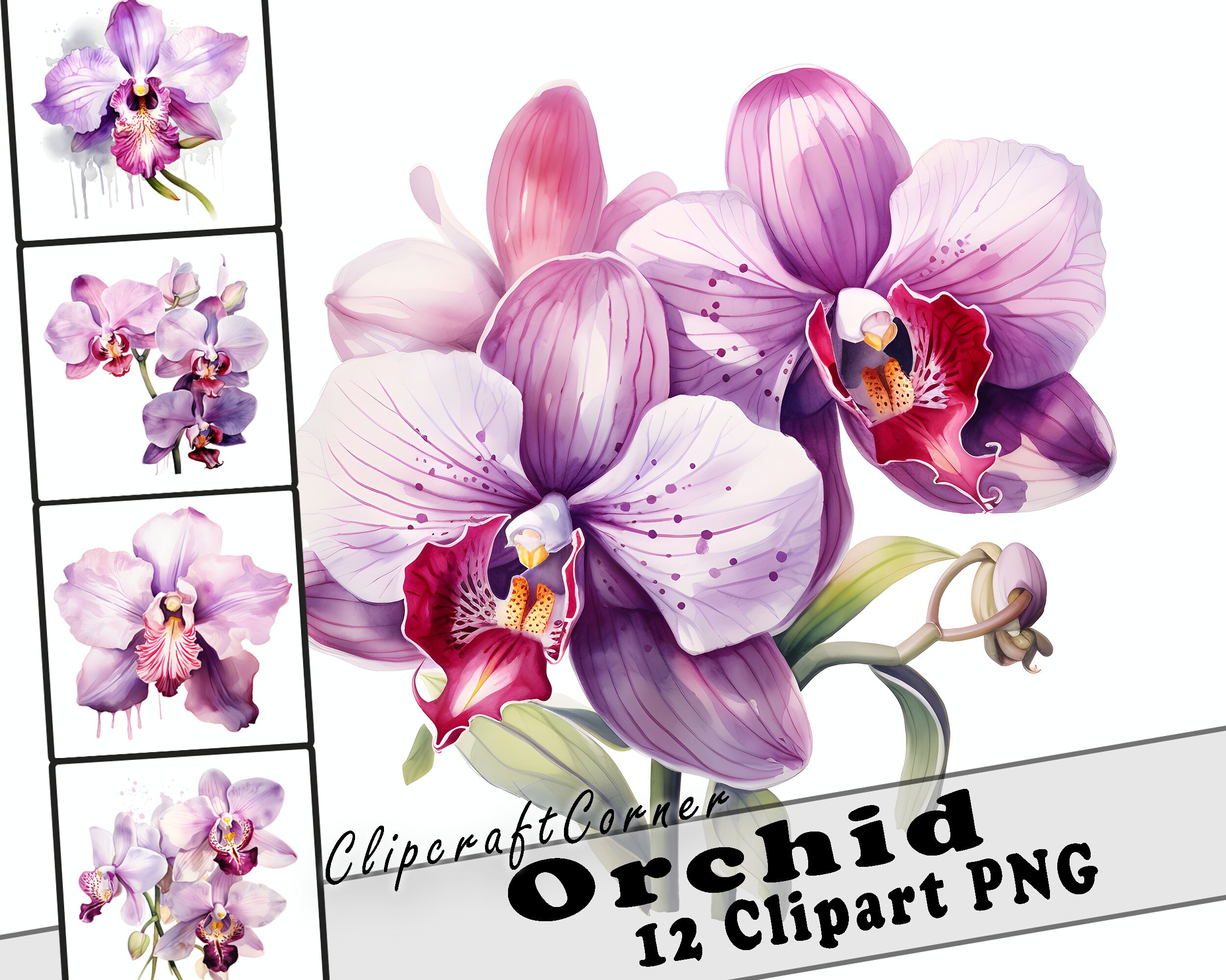 12 Orchid Clipart PNG Art Bundle | Watercolor Flower Clipart PNG ...