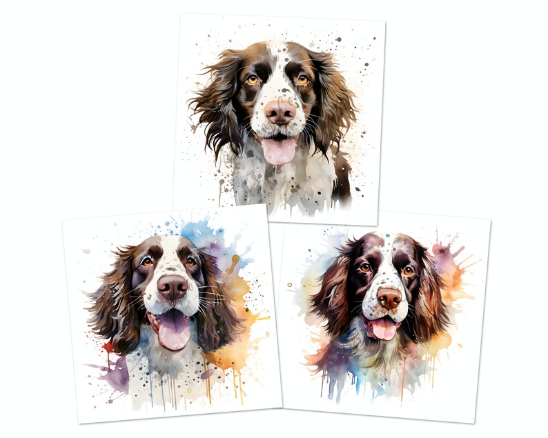 15 English Springer Spaniel Clipart PNG Bundle | Watercolor Dog Clipart ...