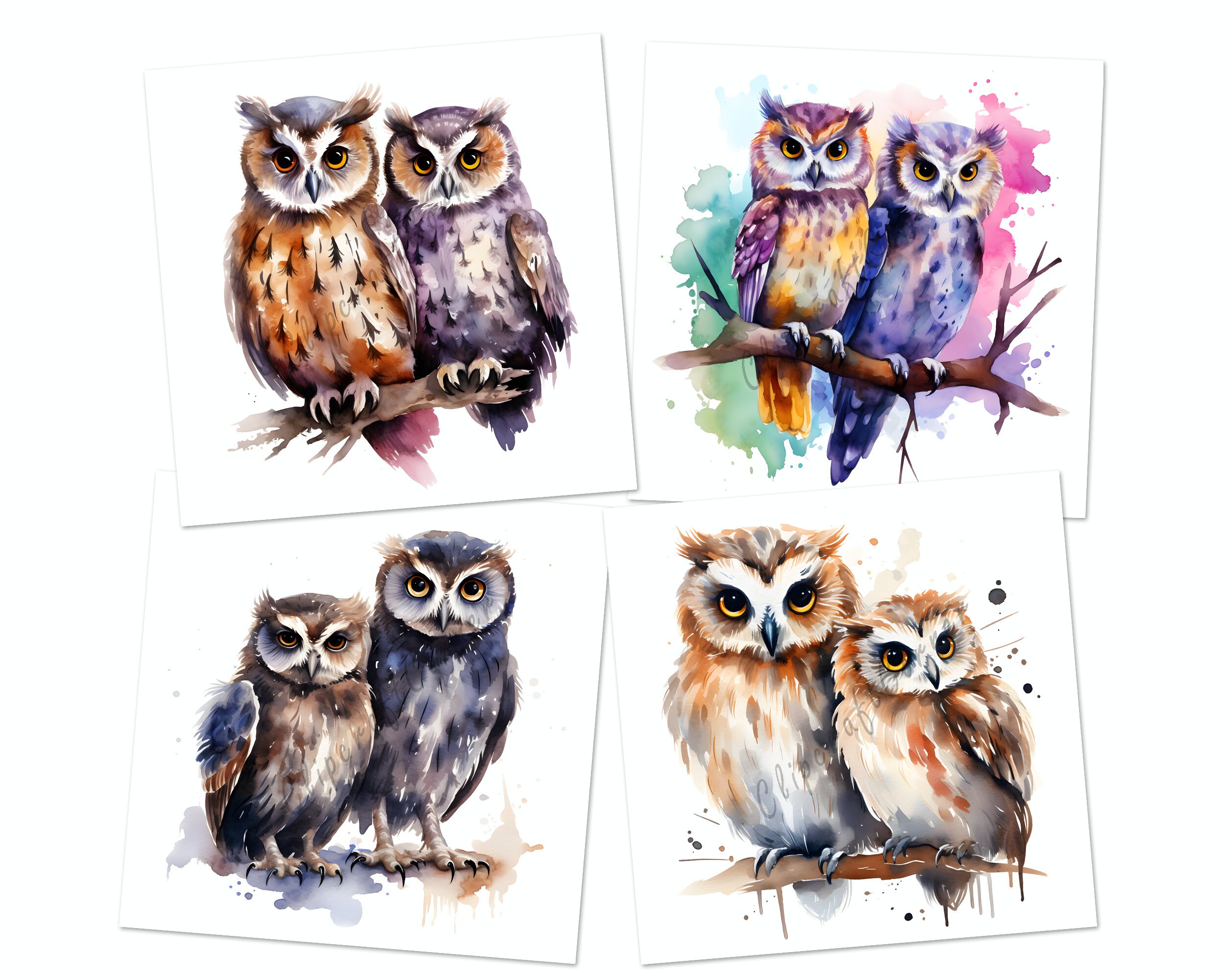 12 Owl Clipart PNG Forest Animal Bundle | Watercolor Owl Clipart PNG ...