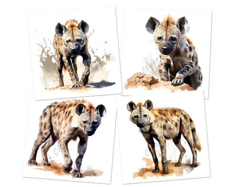 12 Hyena Clipart PNG Savannah Animal Bundle | Watercolor Hyena Clipart ...