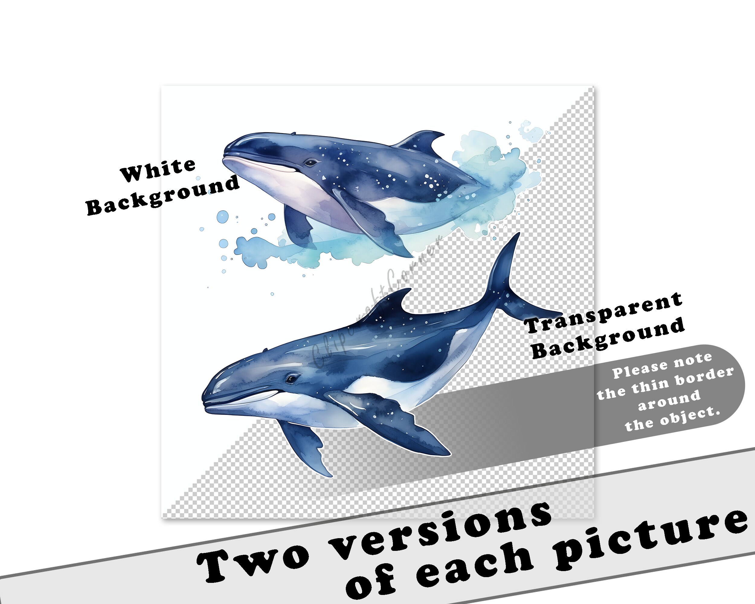 12 Whale Clipart PNG Bundle | Watercolor Sea Animals Clipart PNG ...