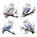 12 Snowy Owl Clipart PNG Art Bundle | Watercolor Bird Clipart PNG ...