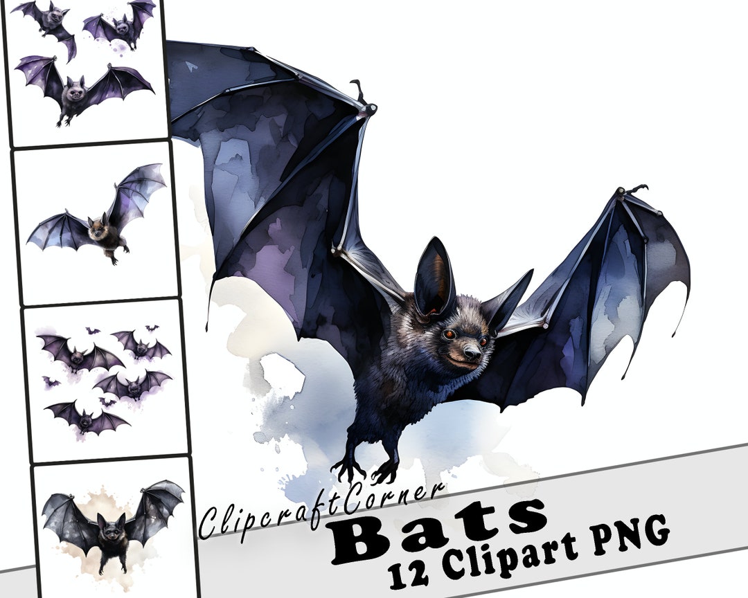 12 Bat Clipart PNG Forest Animal Bundle | Watercolor Bat Clipart PNG ...