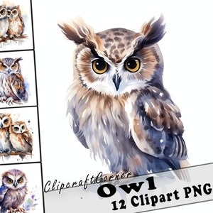 12 Owl Clipart PNG Forest Animal Bundle | Watercolor Owl Clipart PNG ...