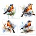 12 American Robin Clipart PNG Art Bundle | Watercolor Bird Clipart PNG ...