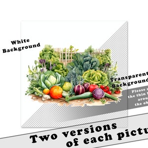 12 Vegetables Clipart PNG Bundle Watercolor Vegetable Clipart PNG Farm ...