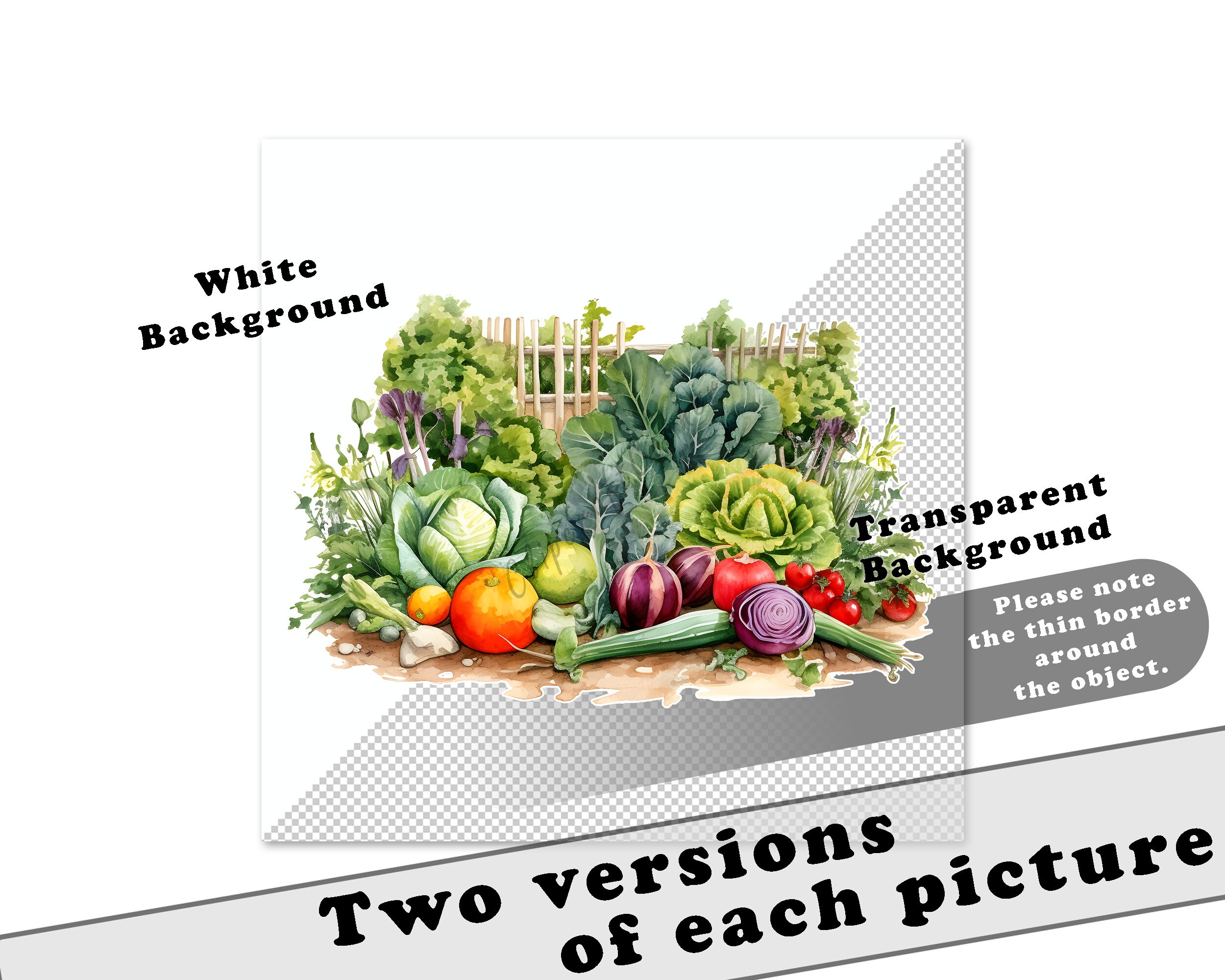 12 Vegetables Clipart PNG Bundle | Watercolor Vegetable Clipart PNG ...