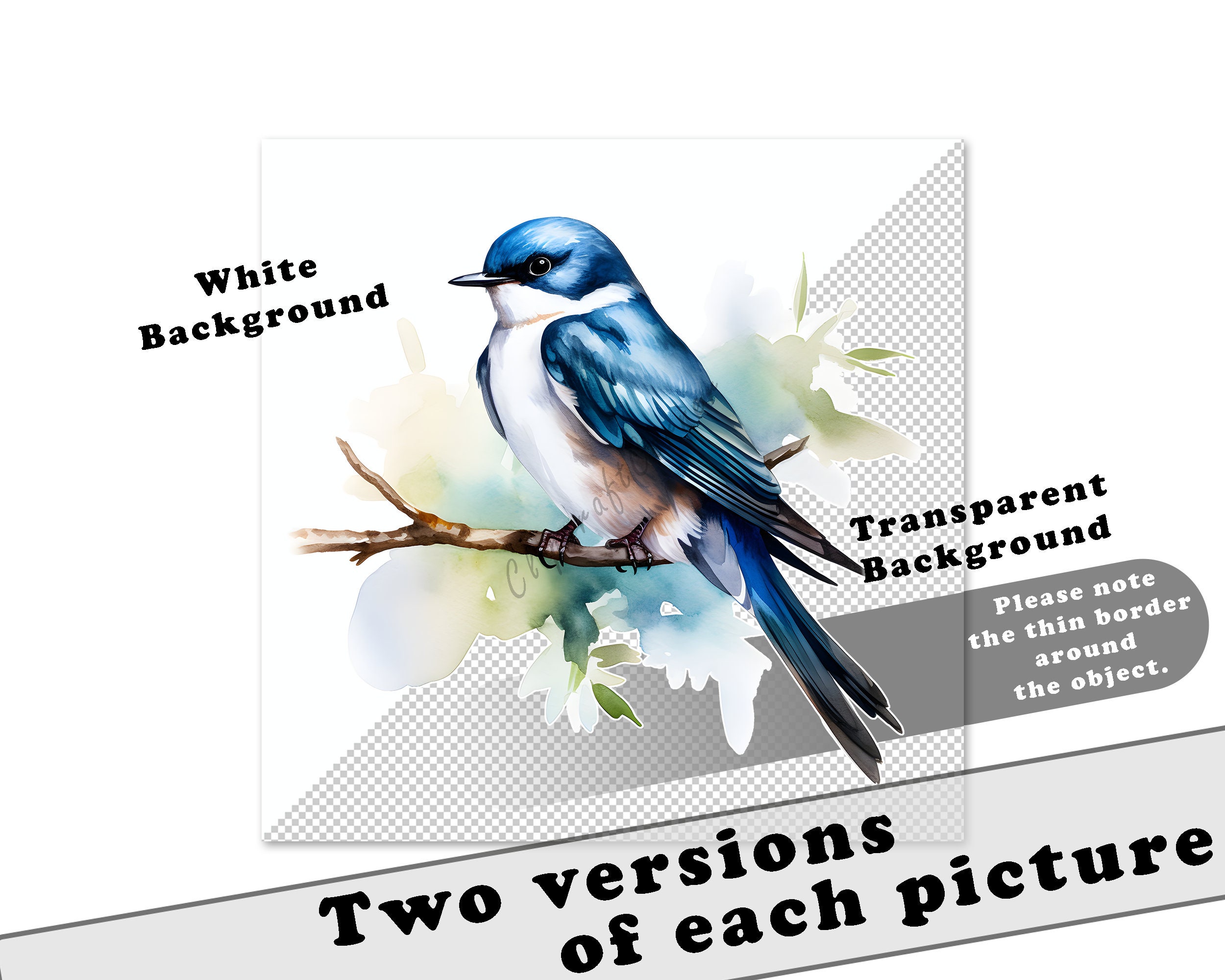 12 Tree Swallow Clipart PNG Art Bundle | Watercolor Bird Clipart PNG ...