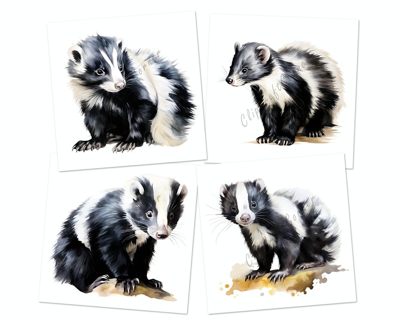 12 Skunk Clipart PNG Forest Animal Bundle | Watercolor Skunk Clipart ...
