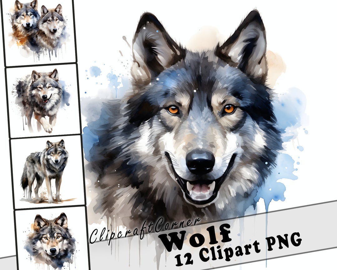 12 Wolf Clipart PNG Forest Animal Bundle | Watercolor Wolf Illustration ...
