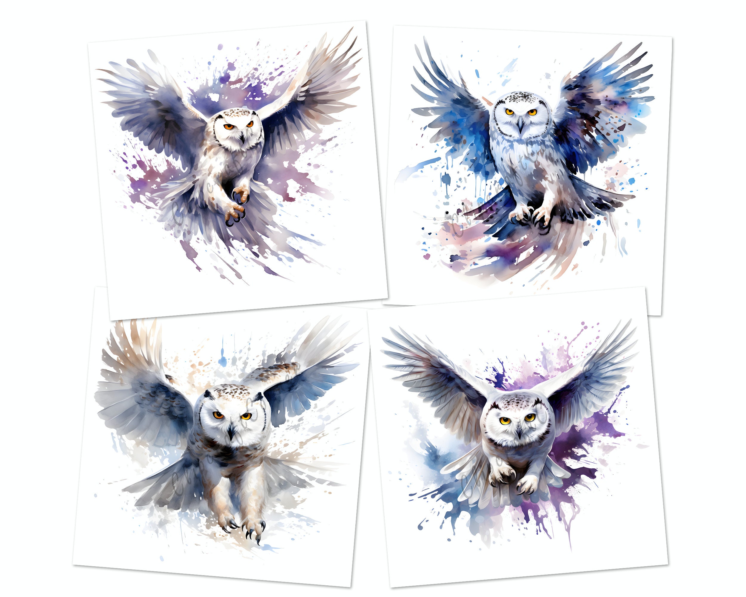 12 Snowy Owl Clipart PNG Art Bundle | Watercolor Bird Clipart PNG ...