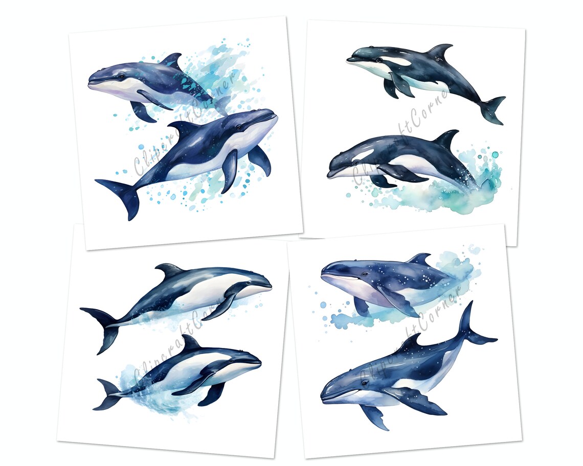 12 Whale Clipart PNG Bundle Watercolor Sea Animals Clipart PNG Ocean ...