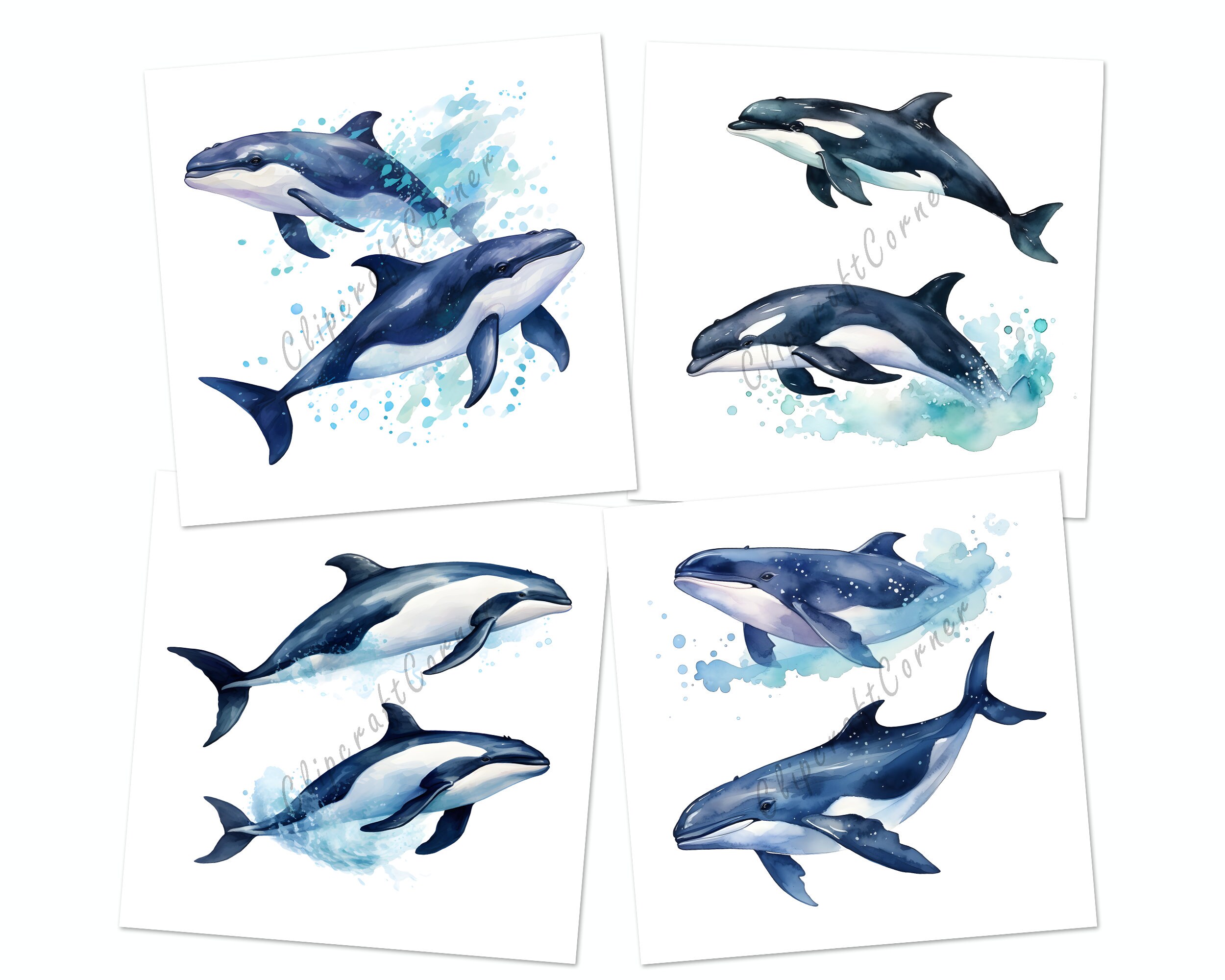 12 Whale Clipart PNG Bundle | Watercolor Sea Animals Clipart PNG ...