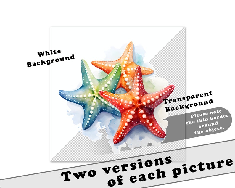 12 Starfish Clipart PNG Bundle | Watercolor Sea Animals Clipart PNG ...