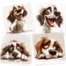 12 English Springer Spaniel Clipart PNG Funny Dog Bundle | Watercolor ...