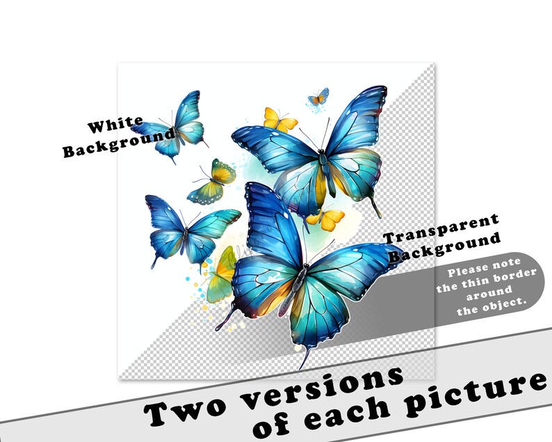 12 Tropical Butterfly Clipart PNG Bundle | Tropical Watercolor Clipart PNG | Summer Clipart PNG ...