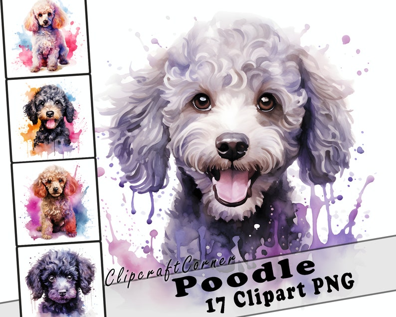 17 Poodle Clipart PNG Bundle | Watercolor Dog Clipart PNG | 26 - Etsy