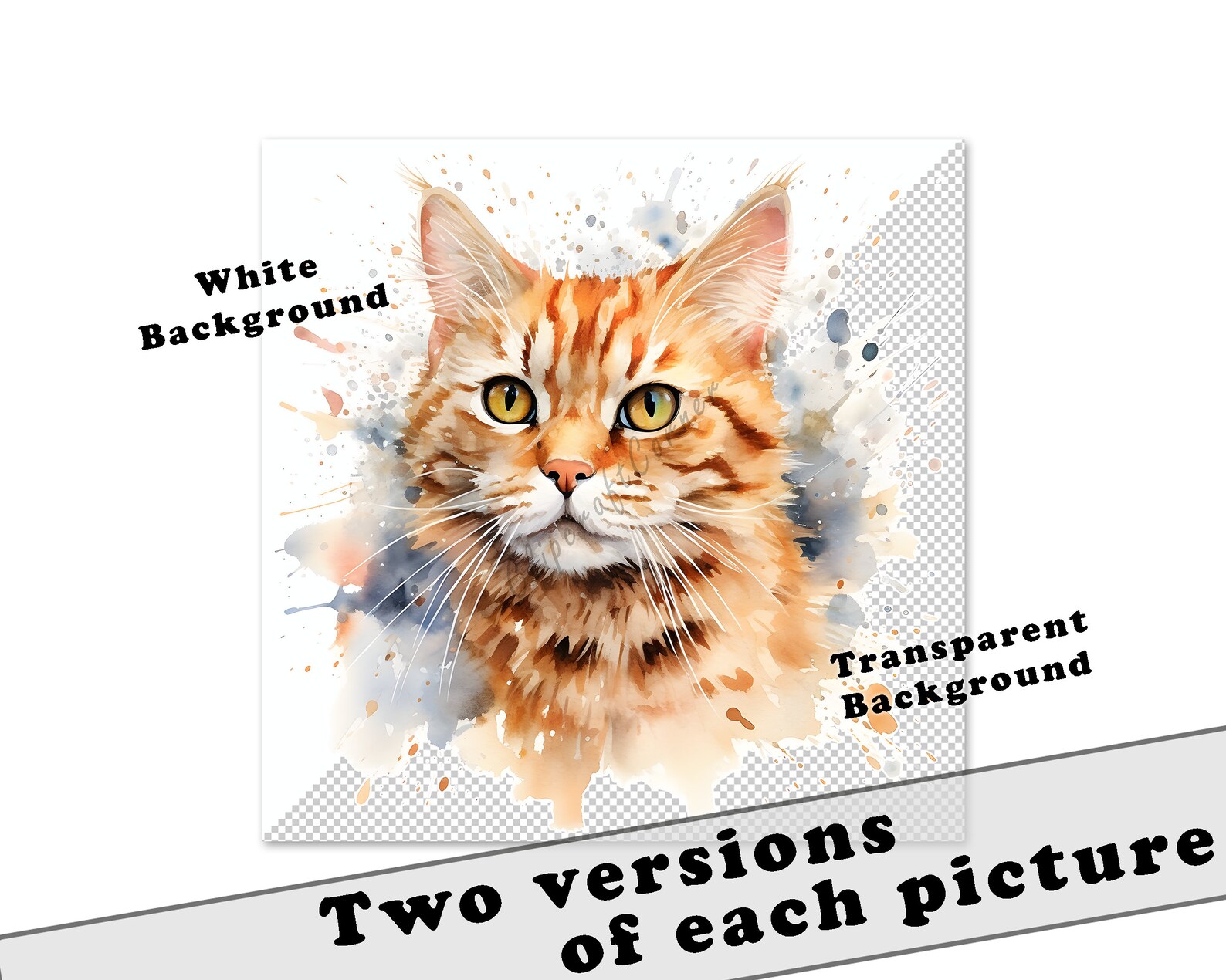 12 Cheetoh Cat Clipart PNG Bundle Cute Watercolor Cat Clipart PNG 542 ...