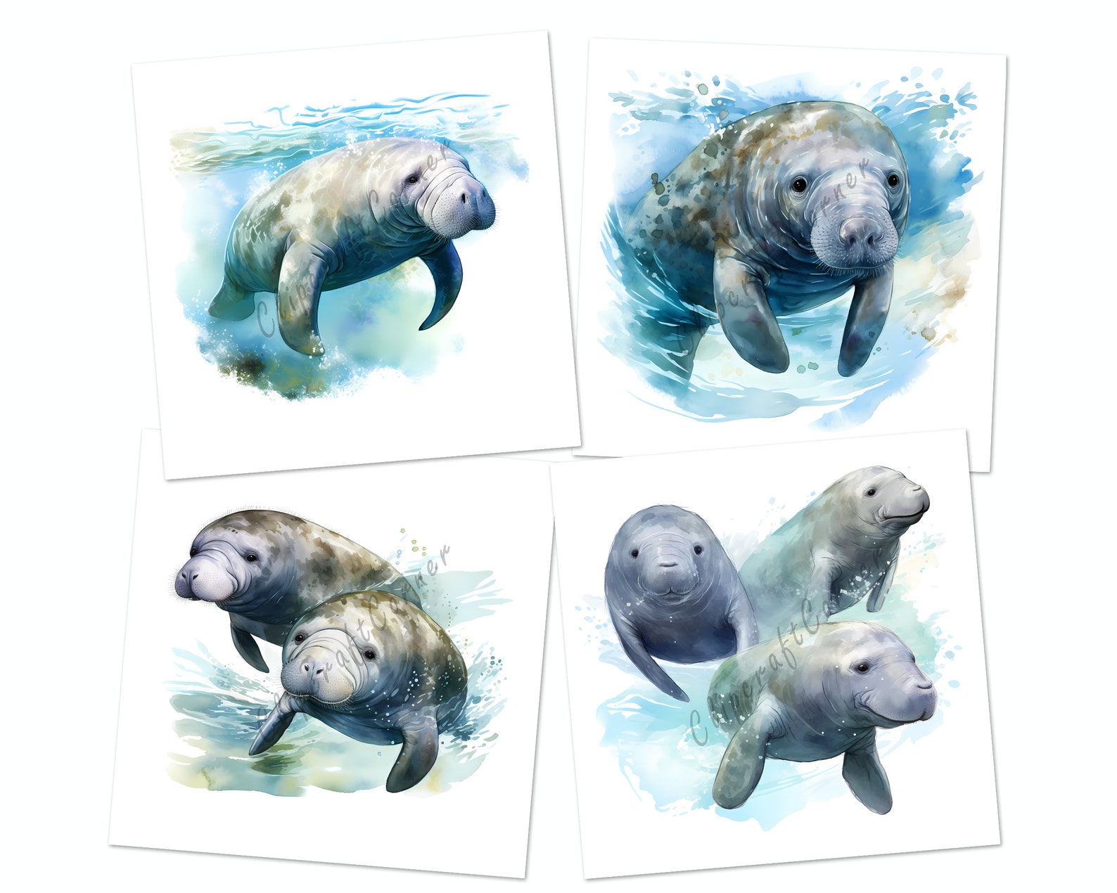 12 Manatee Clipart PNG Bundle | Watercolor Sea Animals Clipart PNG ...