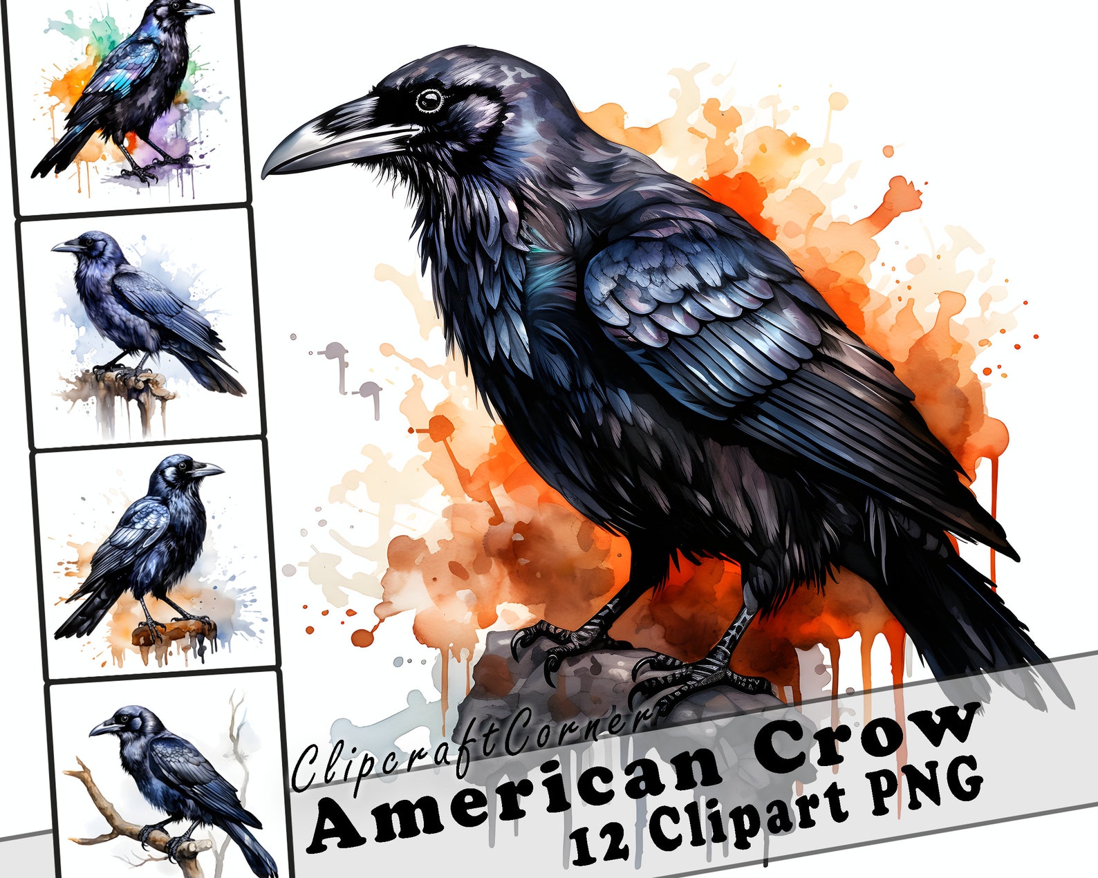 12 American Crow Clipart PNG Art Bundle | Watercolor Bird Clipart PNG ...