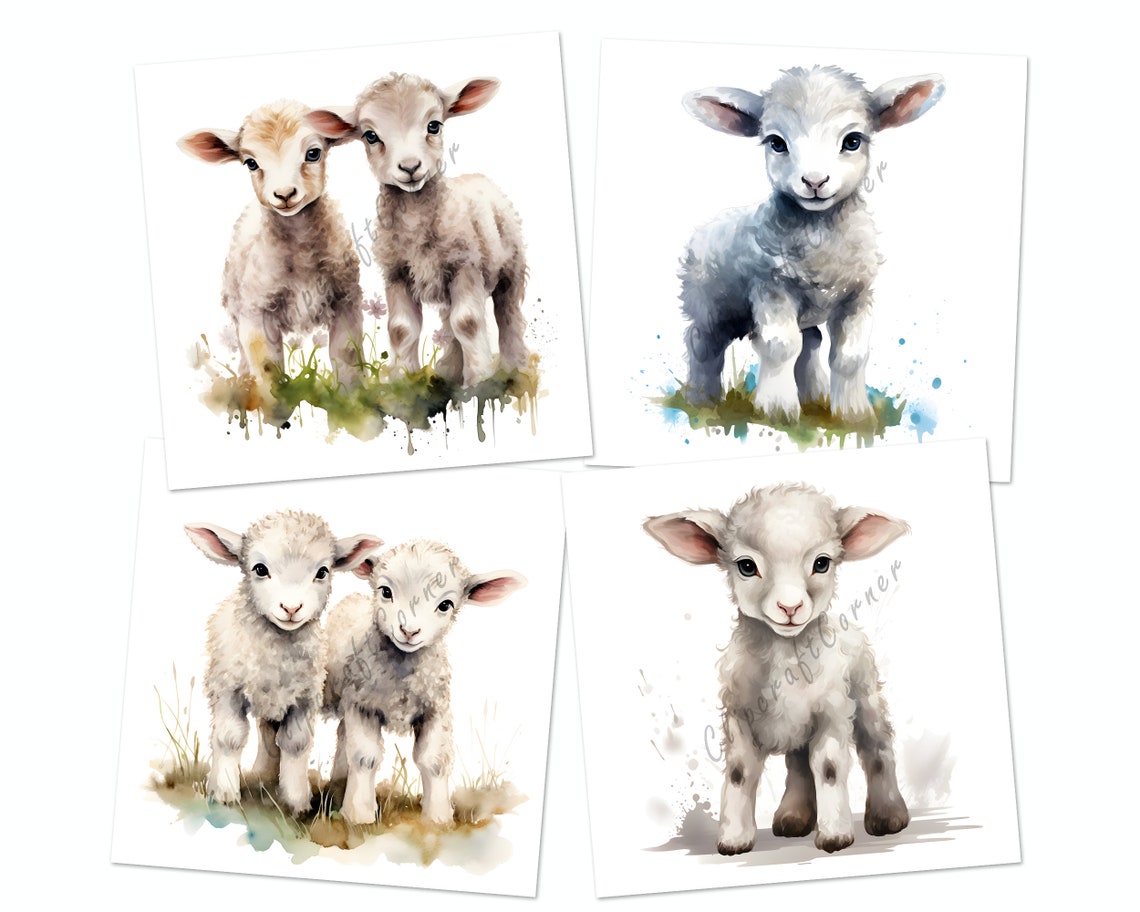 12 Lamb Clipart PNG Bundle | Watercolor Sheep Clipart PNG | Farm Animal ...