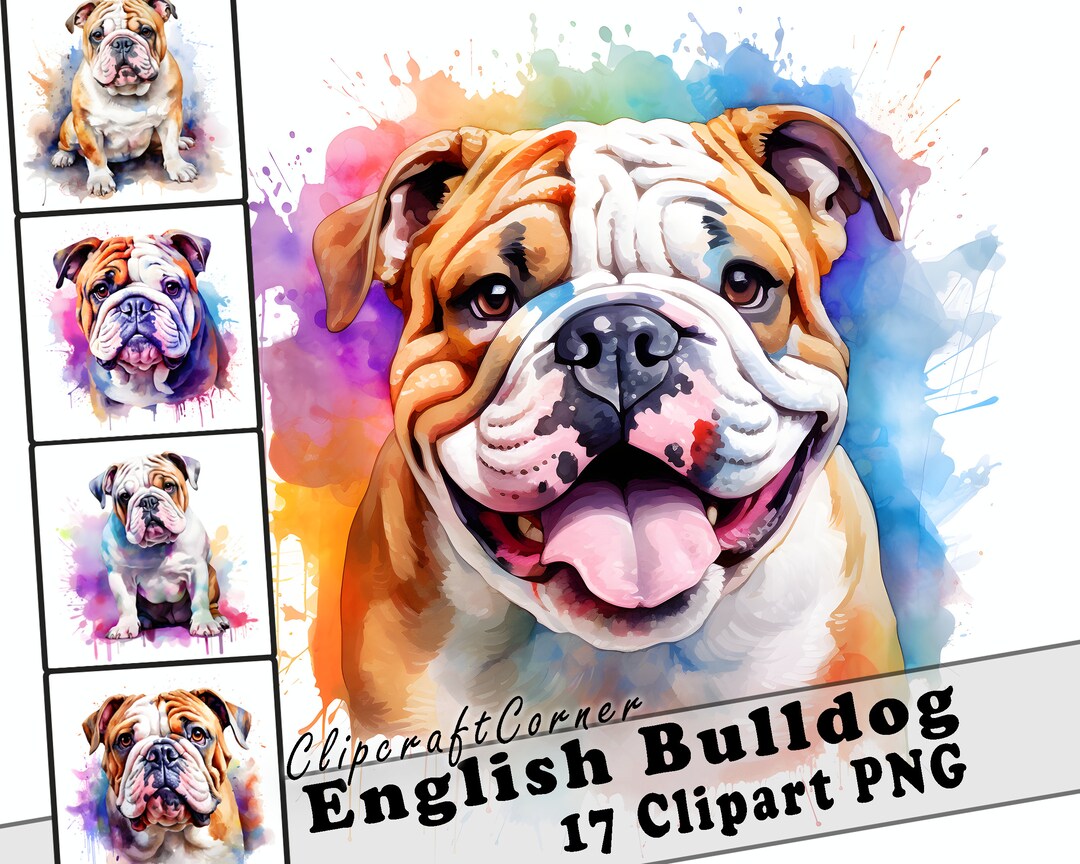 17 English Bulldog Clipart PNG Bundle | Watercolor Dog Clipart PNG | 39 ...