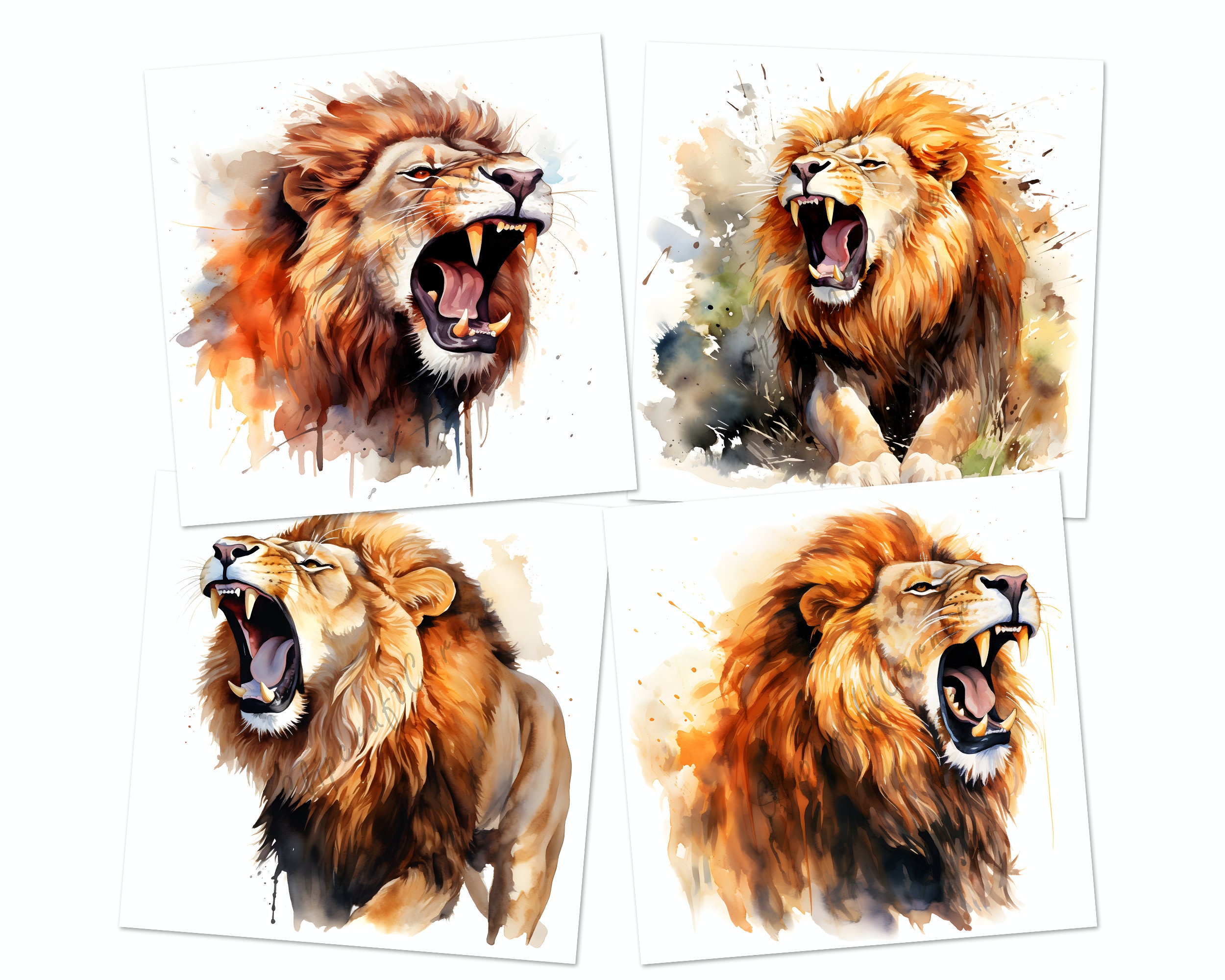 12 Lion Clipart PNG Savannah Animal Bundle | Watercolor Lion Clipart ...