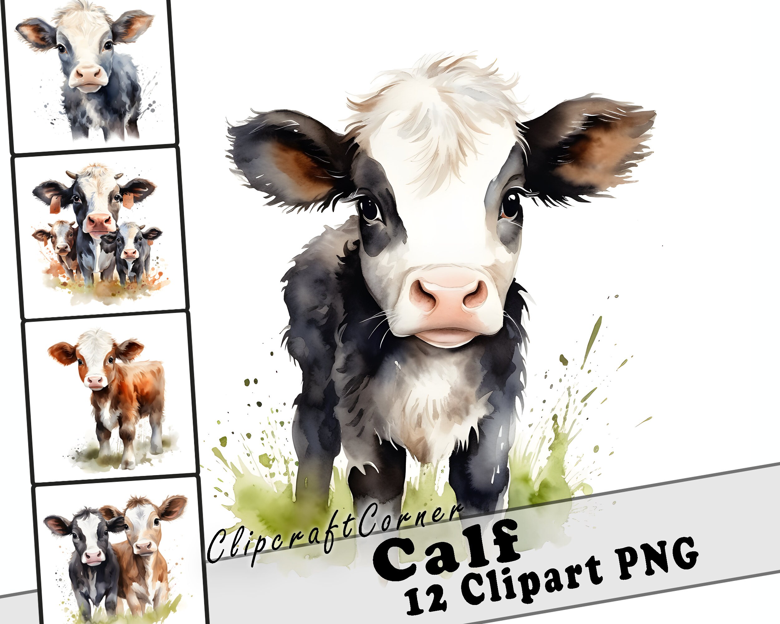 12 Calf Clipart PNG Bundle | Watercolor Cow Clipart PNG | Farm Animal ...
